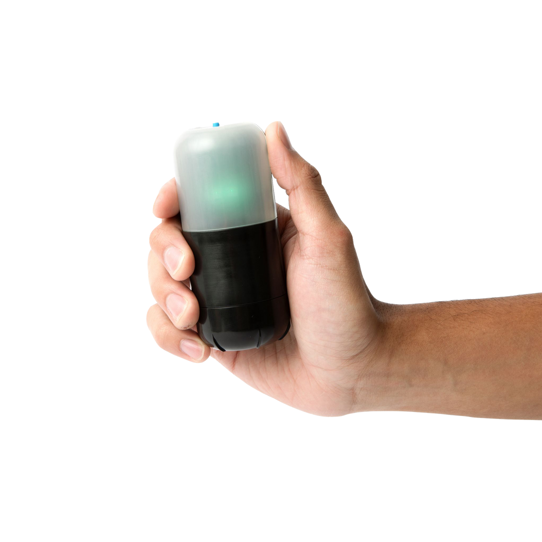 Colorimetry Lights | See Art in a New Light